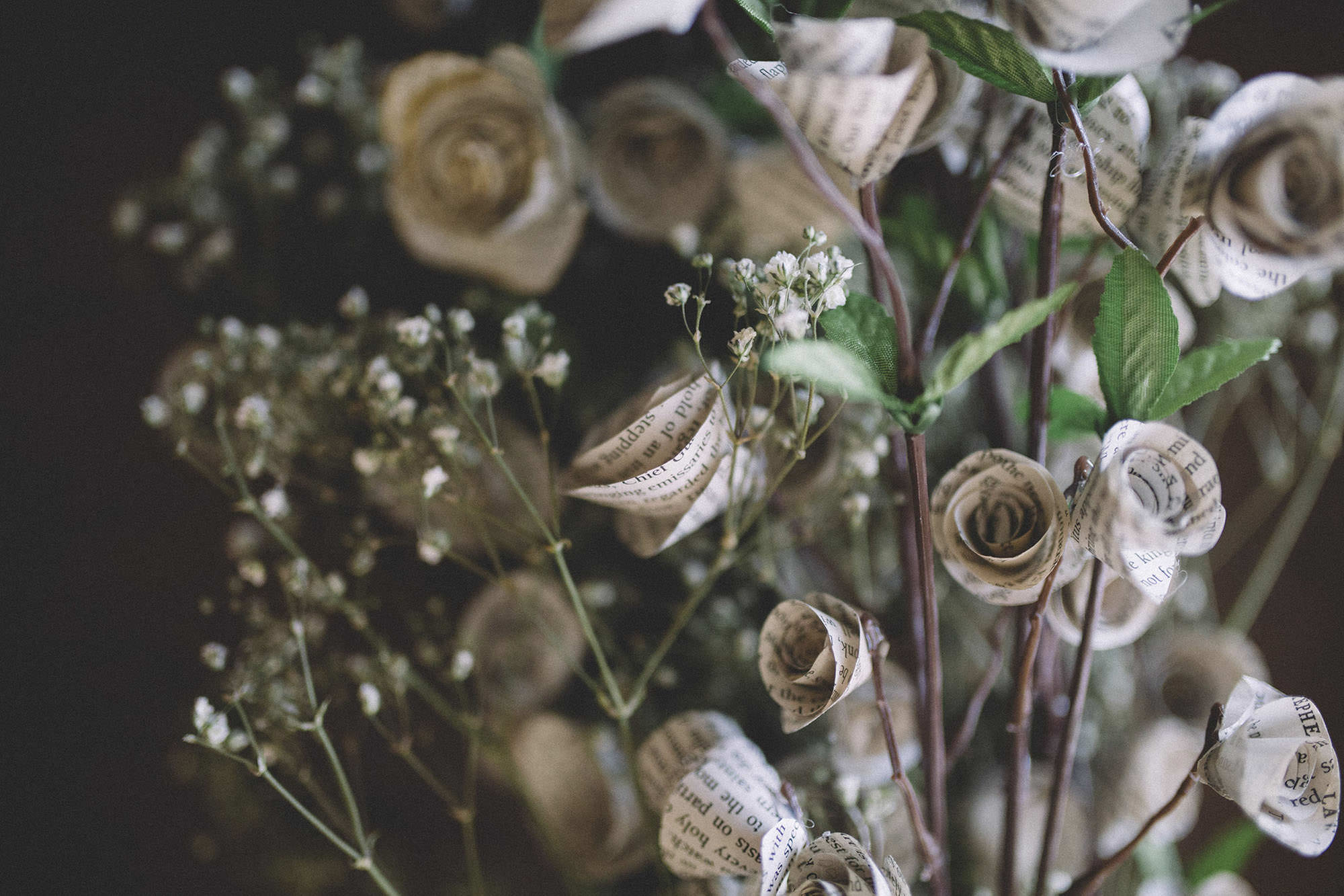 About Draht Photography - Draht Photography