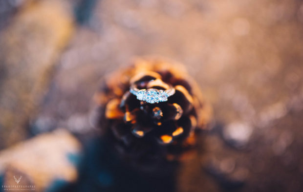 The Wedding Photographs - Vernon & Kelowna Photographer • Draht Photography